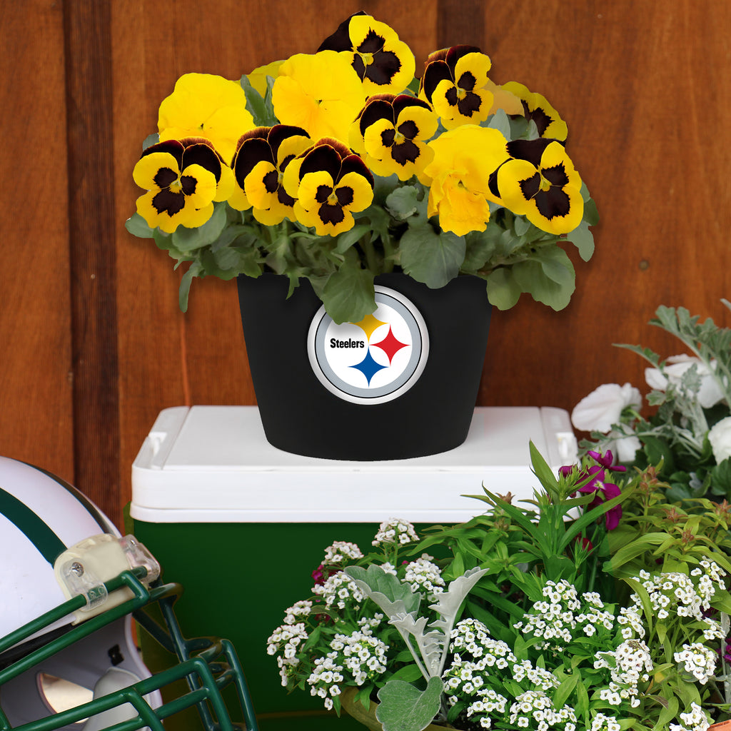 Pittsburgh SteelersButton Pot - 2 Pack - For The Deep Rooted Fan ...