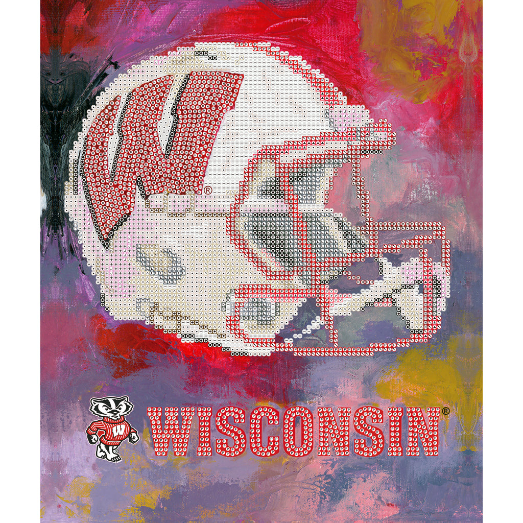 Wisconsin BadgersDiamond Painting Craft Kit - For The Deep Rooted Fan ...